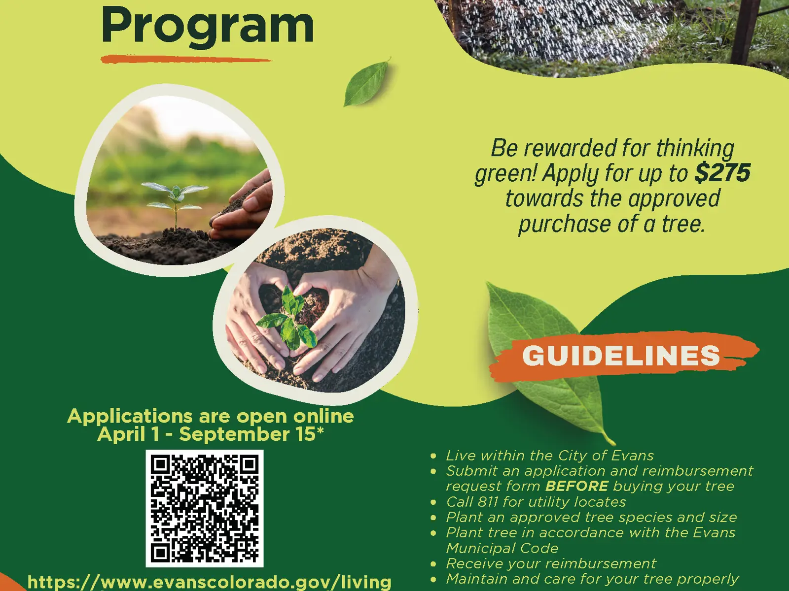 Tree Assistance Program | City of Evans